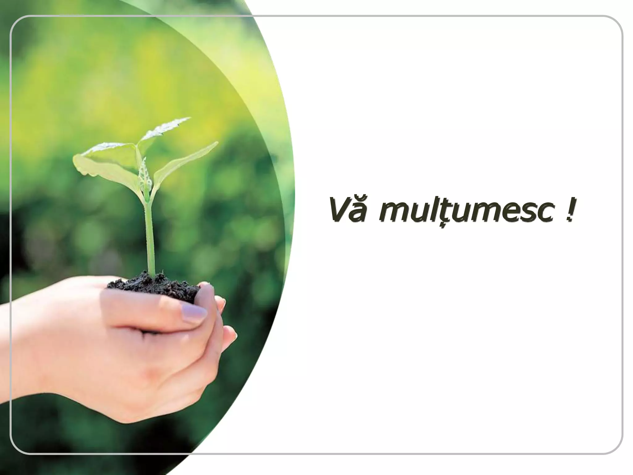 Proiect de Diplomă. Murariu Catalina | PPTX