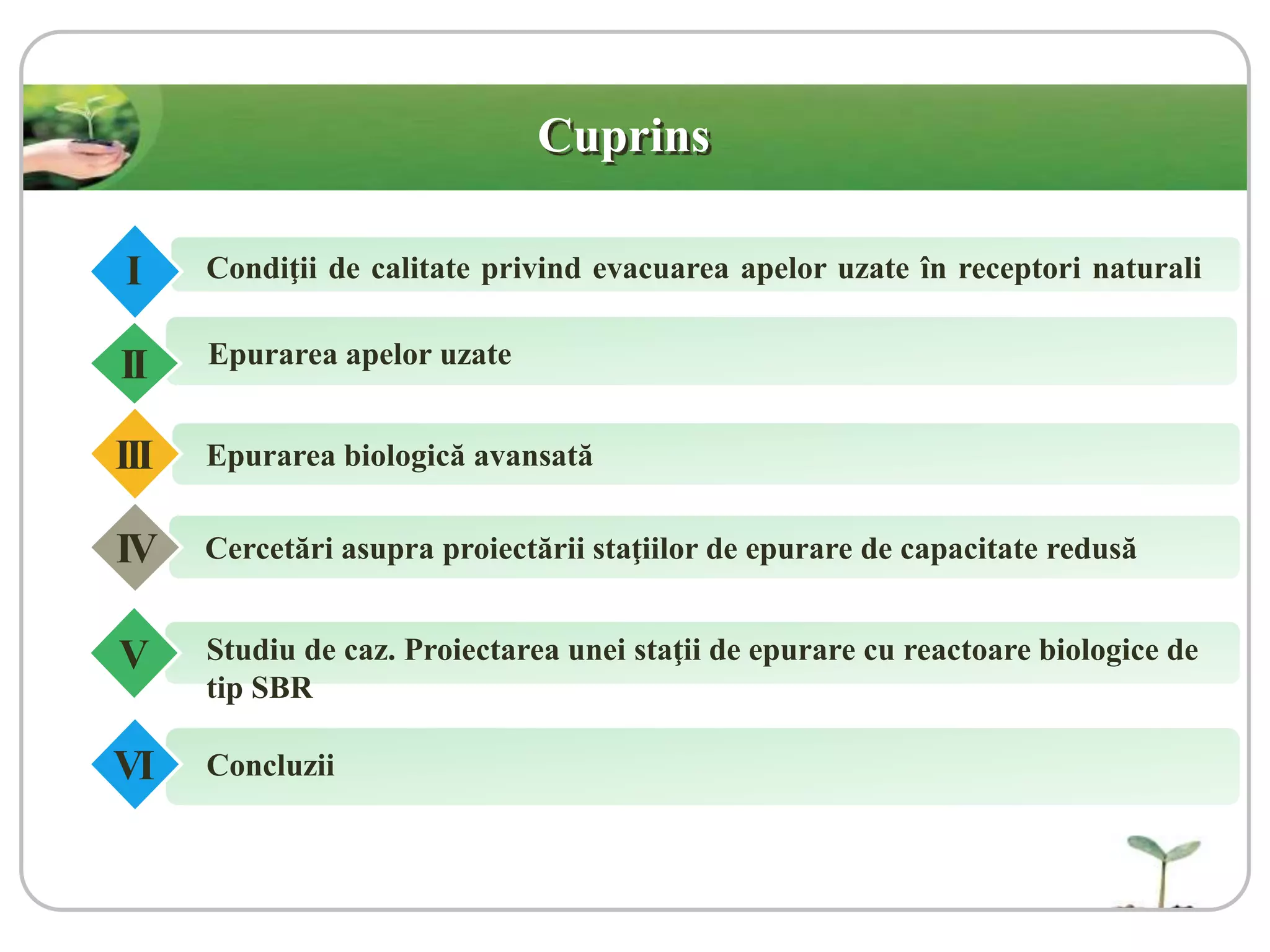 Proiect de Diplomă. Murariu Catalina | PPTX