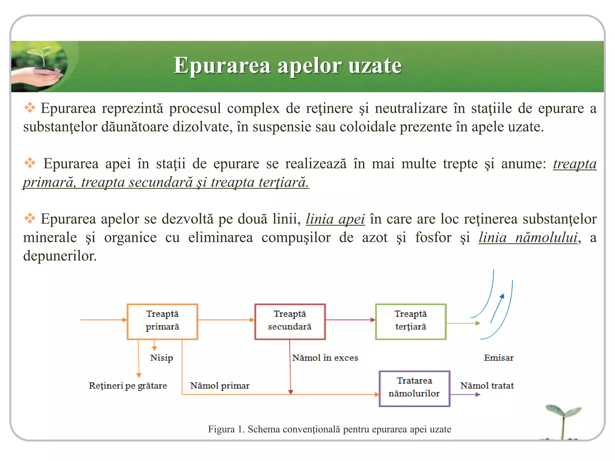 Proiect de Diplomă. Murariu Catalina | PPTX