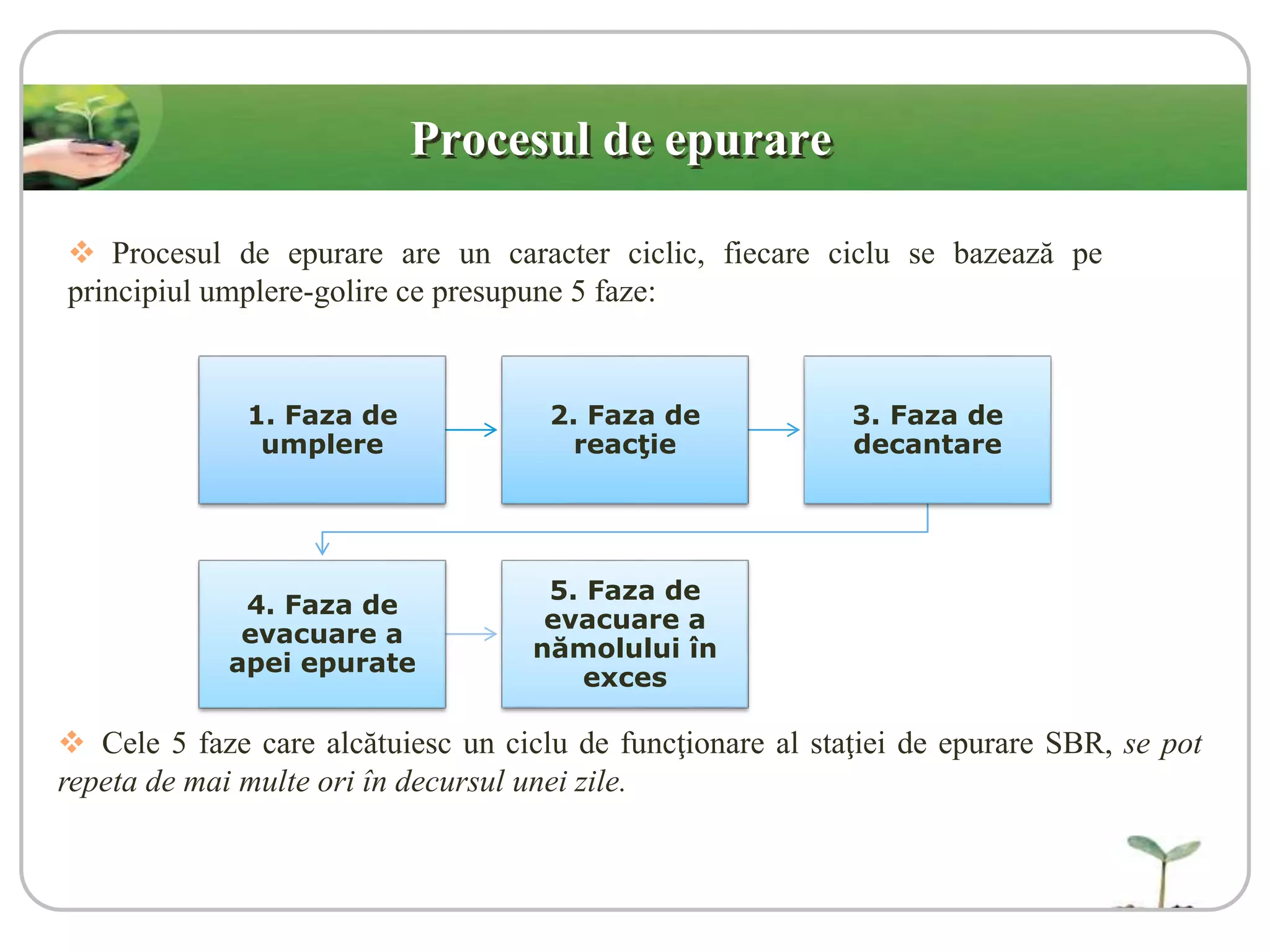 Proiect de Diplomă. Murariu Catalina | PPTX
