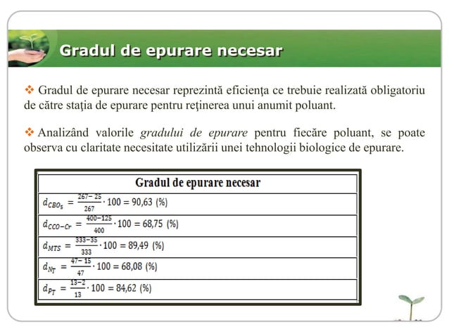 Proiect de Diplomă. Murariu Catalina | PPT