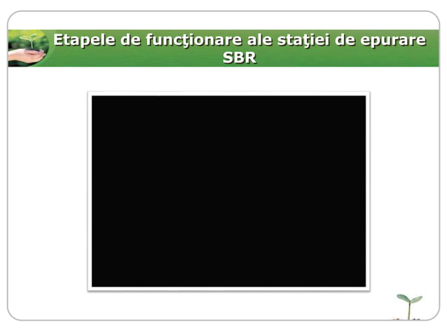 Proiect de Diplomă. Murariu Catalina | PPT
