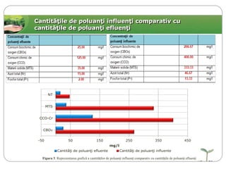 Proiect de Diplomă. Murariu Catalina | PPT