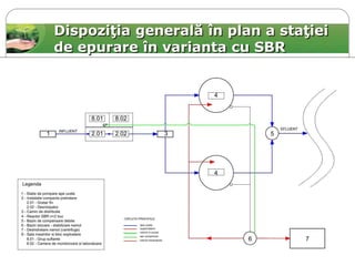 Proiect de Diplomă. Murariu Catalina | PPT