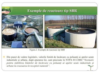 Proiect de Diplomă. Murariu Catalina | PPT