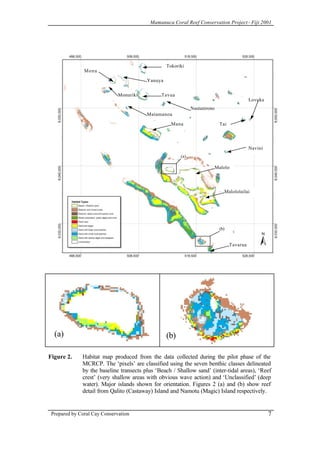 Mamanuca Coral Reef Conservation Project - Fiji 2001 - Report Summary | PDF