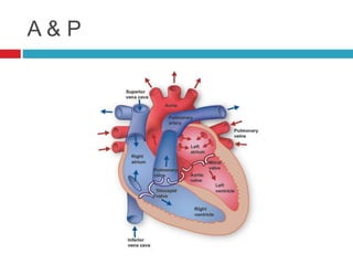 Cardiology Basics | PPTX
