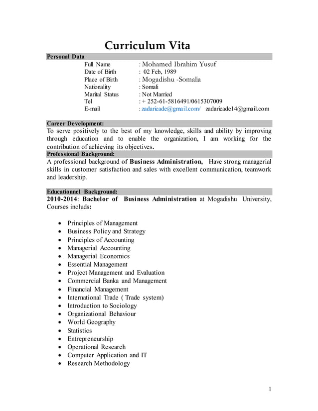 Curriculum Vita.docx by Macoow | PDF