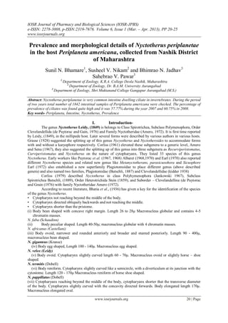 Prevalence and morphological details of Nyctotherus periplanetae in the ...