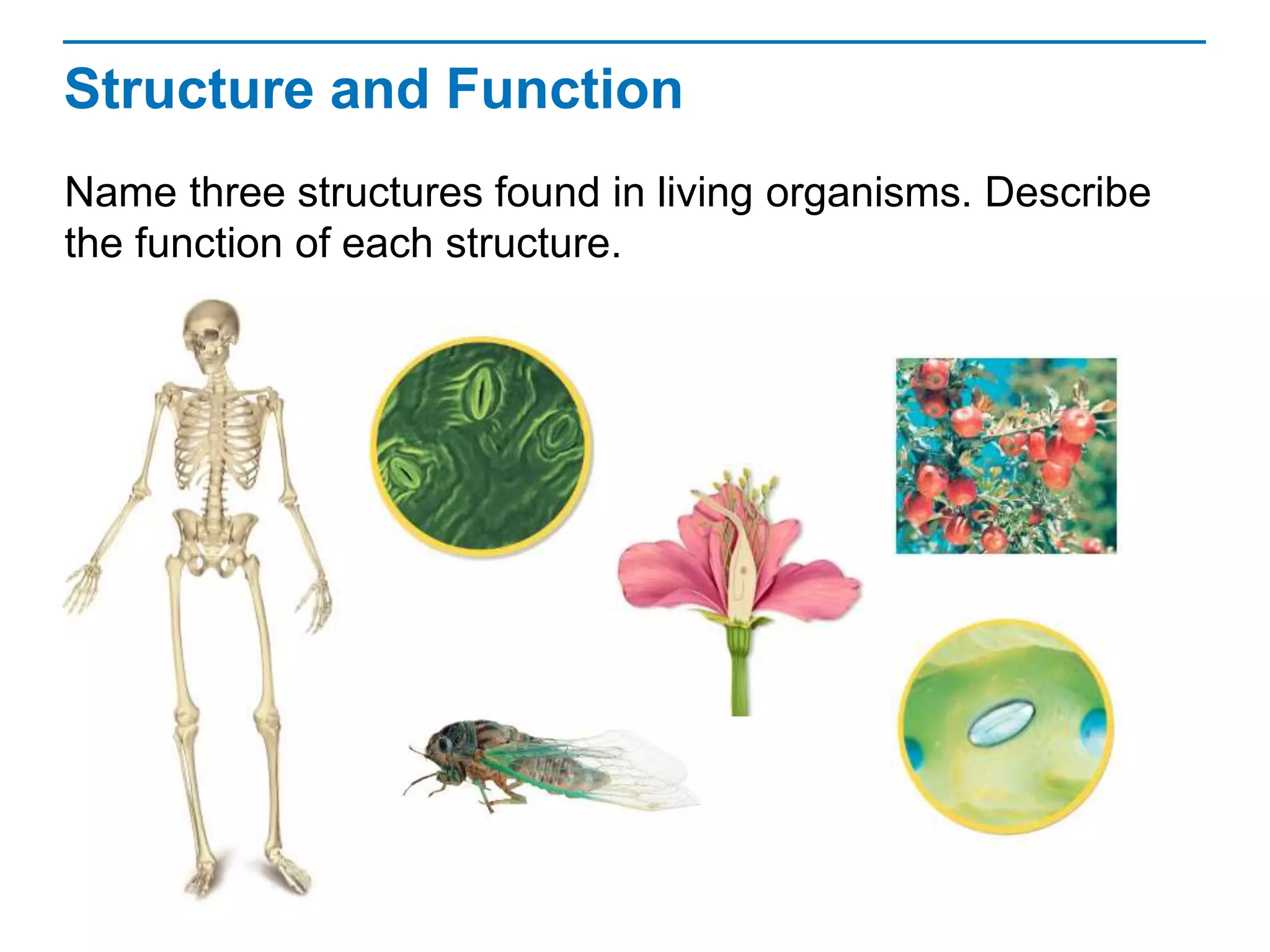 D0636863_G05_CH03_L01_EP.ppt