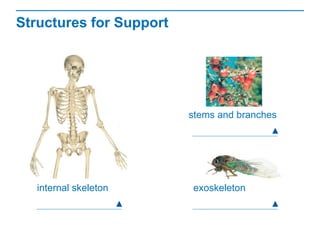 D0636863_G05_CH03_L01_EP.ppt