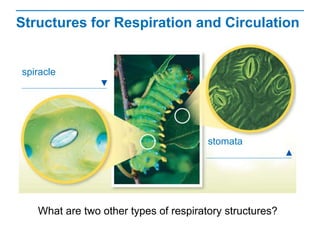 D0636863_G05_CH03_L01_EP.ppt