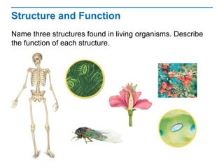 D0636863_G05_CH03_L01_EP.ppt