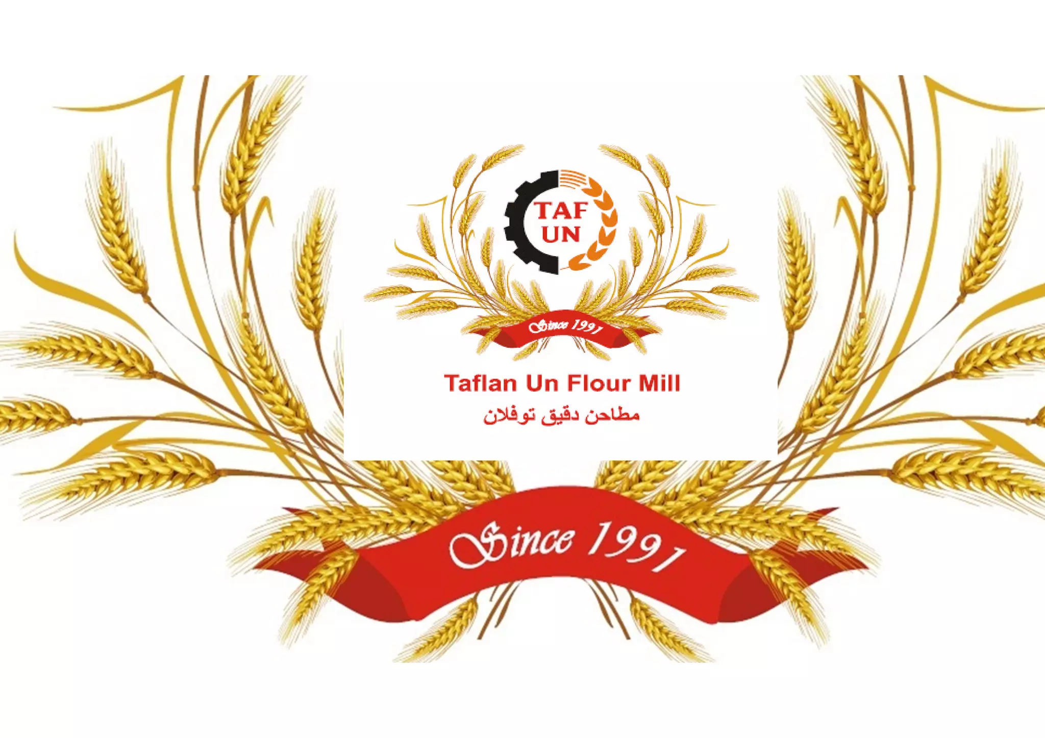 Taflan Flour Mill Products Catalogue | PDF