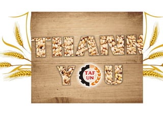 Taflan Flour Mill Products Catalogue | PDF