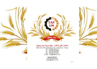 Taflan Flour Mill Products Catalogue | PDF