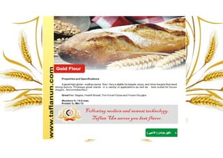 Taflan Flour Mill Products Catalogue | PDF