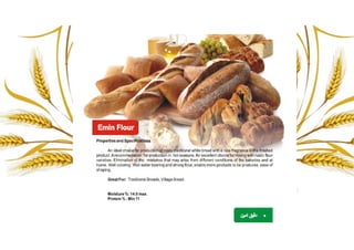 Taflan Flour Mill Products Catalogue | PDF