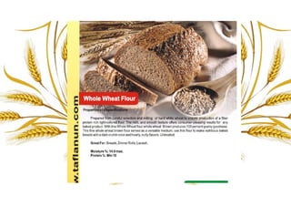 Taflan Flour Mill Products Catalogue | PDF
