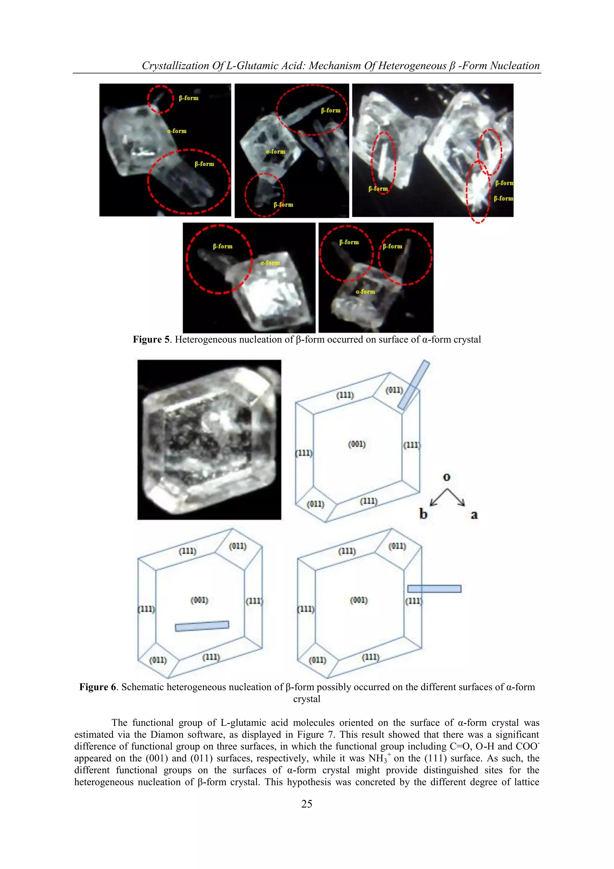 Crystallization of L-Glutamic Acid: Mechanism of Heterogeneous β -Form ...