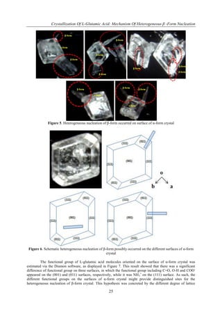Crystallization of L-Glutamic Acid: Mechanism of Heterogeneous β -Form ...