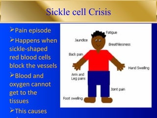 Sickle Cell and Nutrition Powerpoint Presentation | PPT