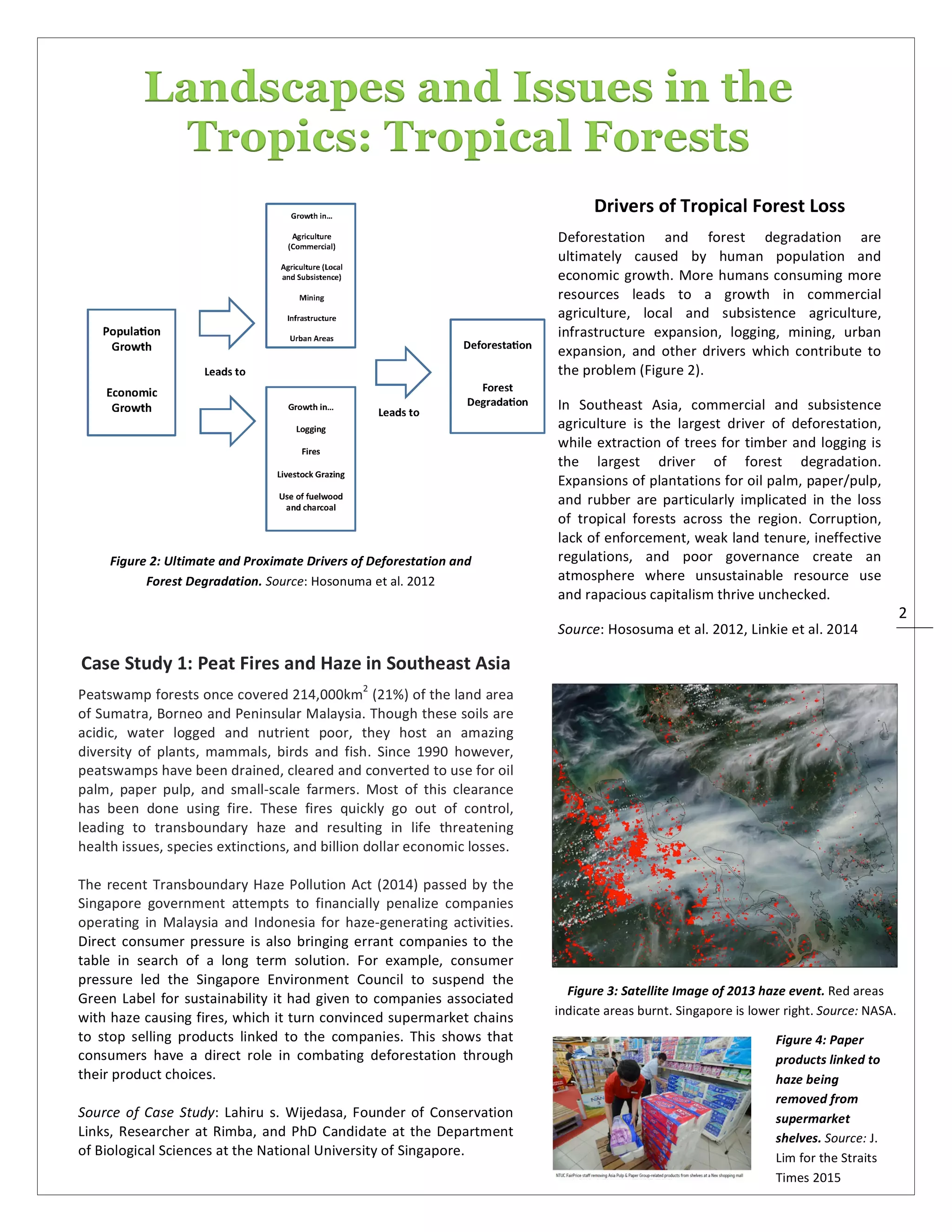 Hastings_Forests Draft 22_Feb | PDF
