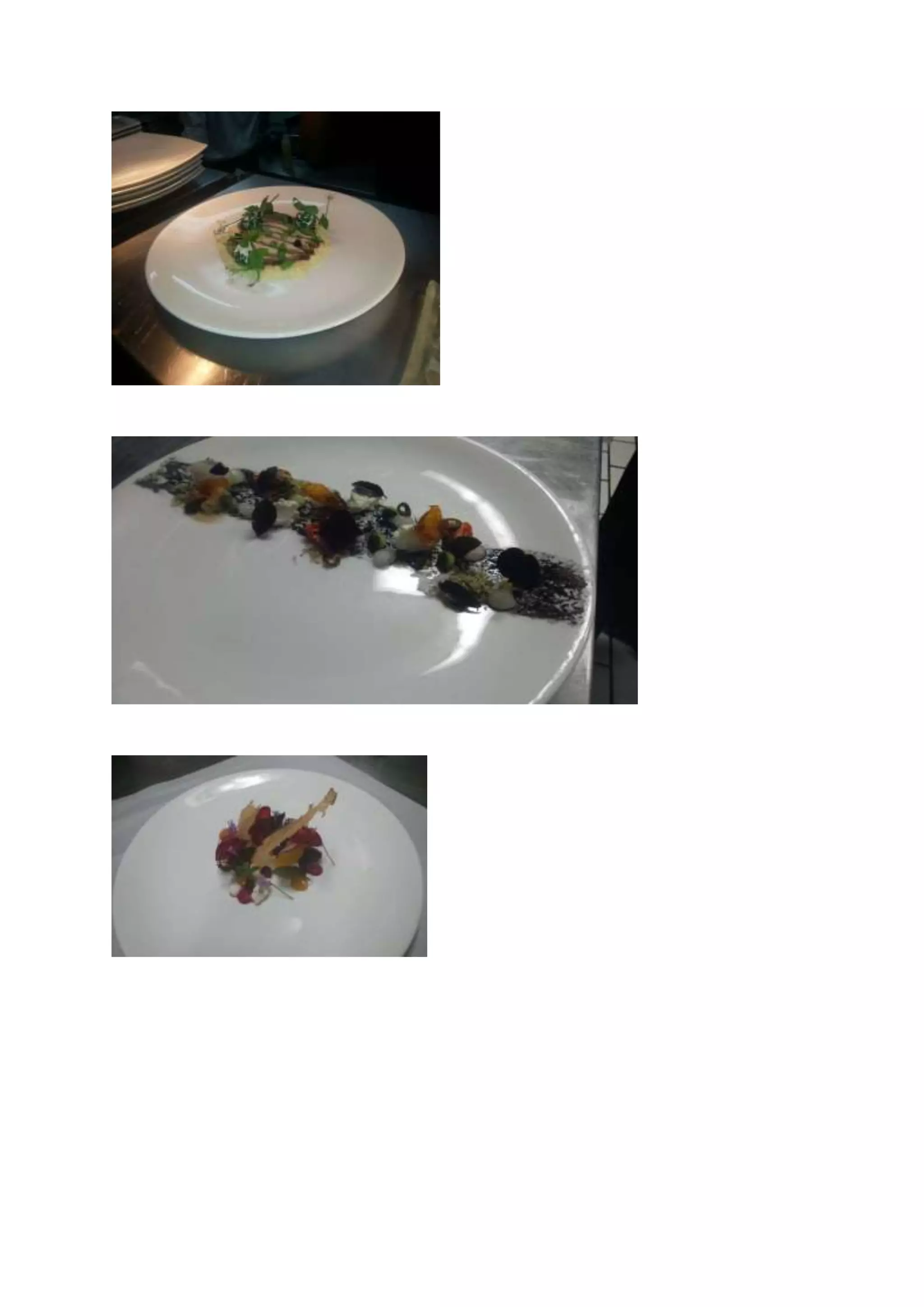 Nathan Cv New Version | PDF