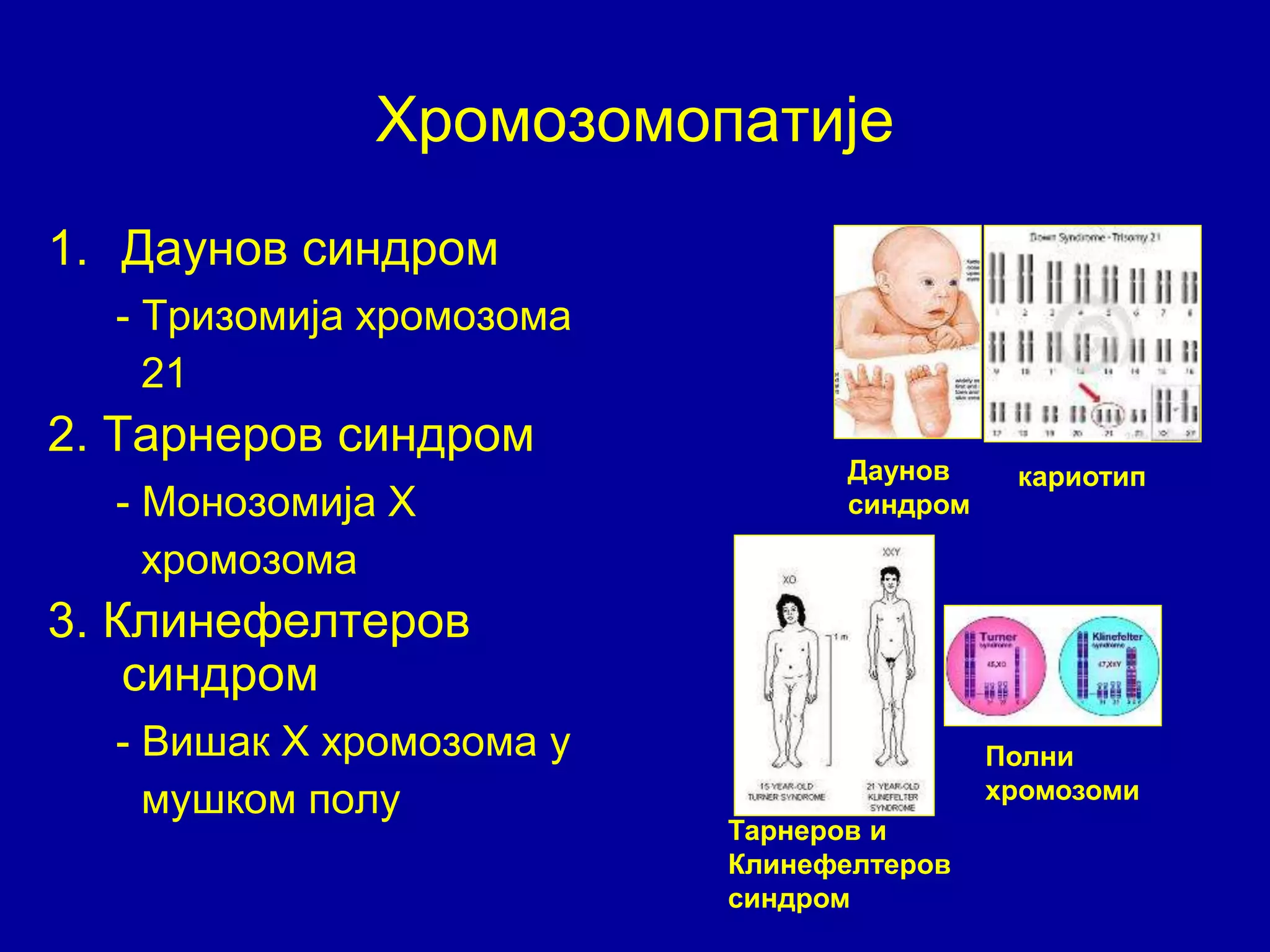 Nasledne bolesti coveka | PPT