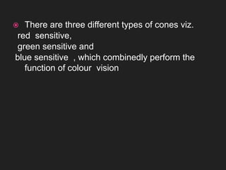 Colour vision notes pptslides/vision.pdf