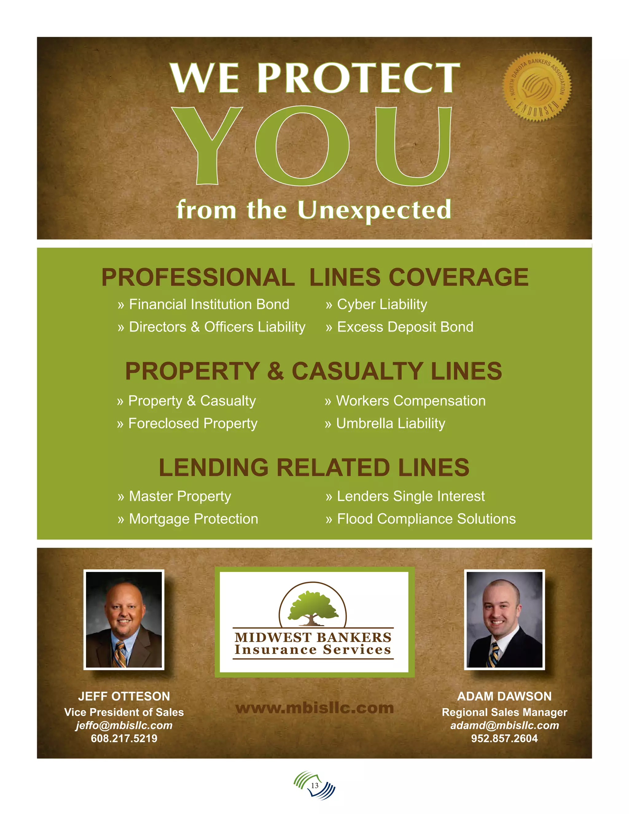 MBIS NDBA Spotlight Article | PDF