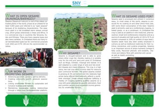 SESAME BROCHURE | PDF