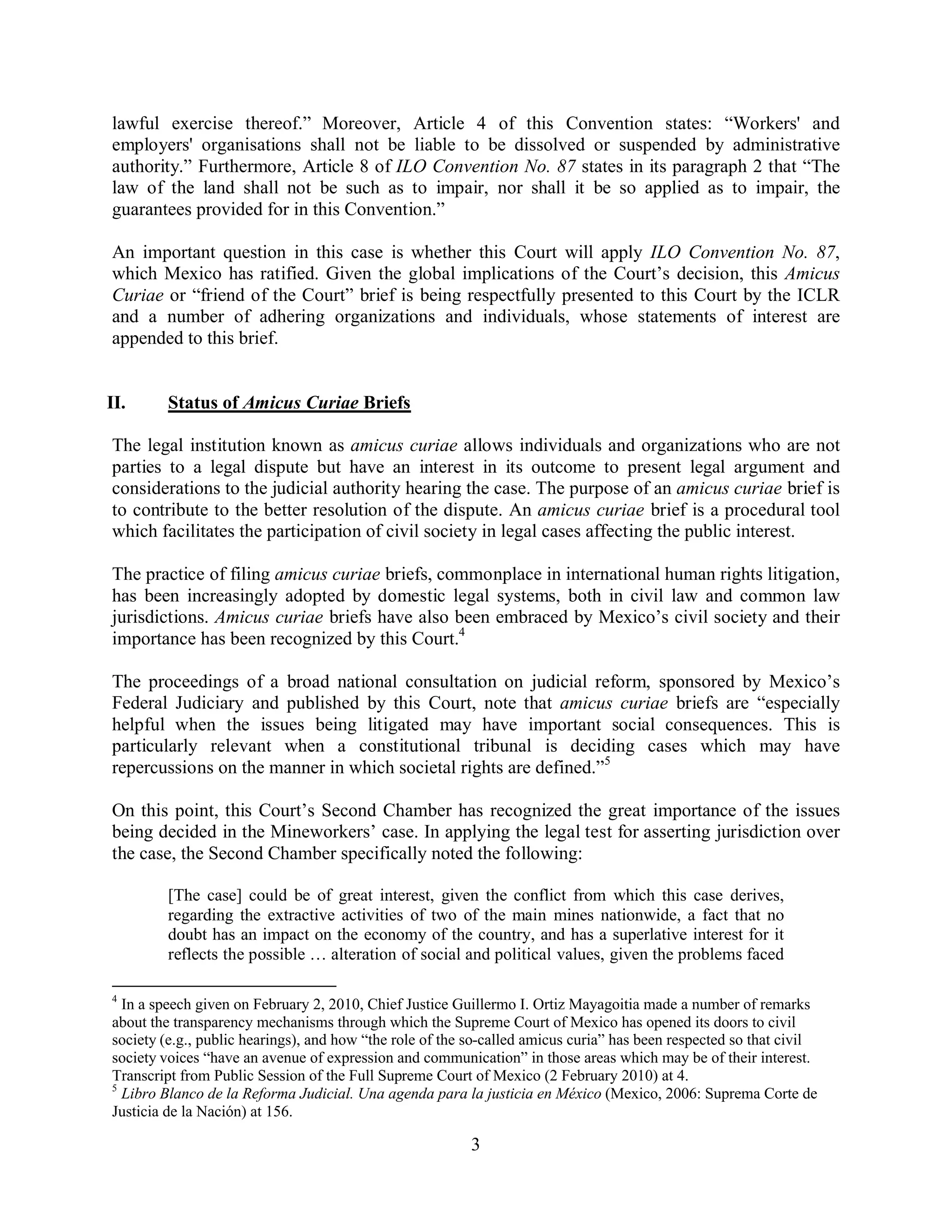 English Amicus Curiae Brief | PDF