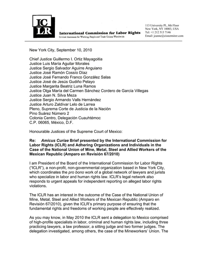 English Amicus Curiae Brief | PDF