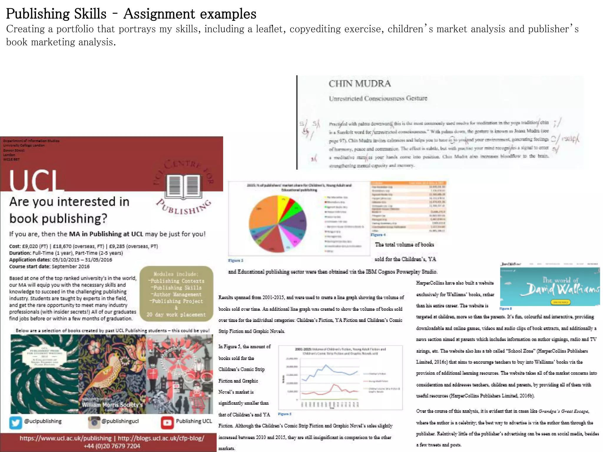 UCL work portfolio | PDF | Business | Business and Finance