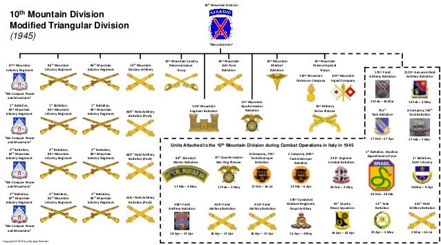 10th Mtn Div TO (2015) (Widescreen)