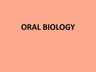 Oral biology | PPTX