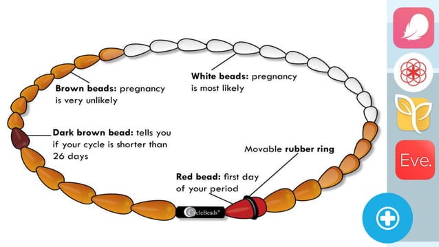 Calendar Method | PPTX | Birth Control | Reproductive Health