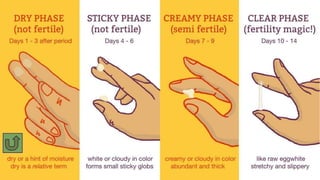 Calendar Method | PPT