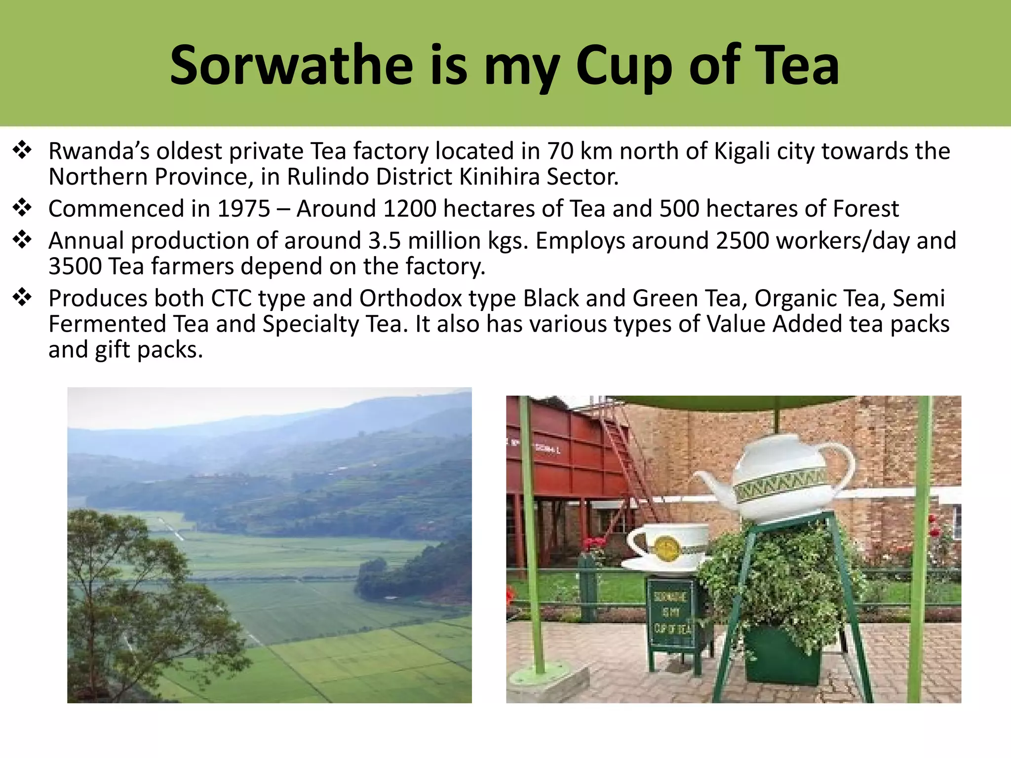 Sorwathe Tea Factory Rwanda | PDF