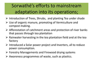 Sorwathe Tea Factory Rwanda | PDF