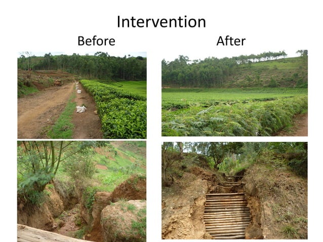 Sorwathe Tea Factory Rwanda | PDF