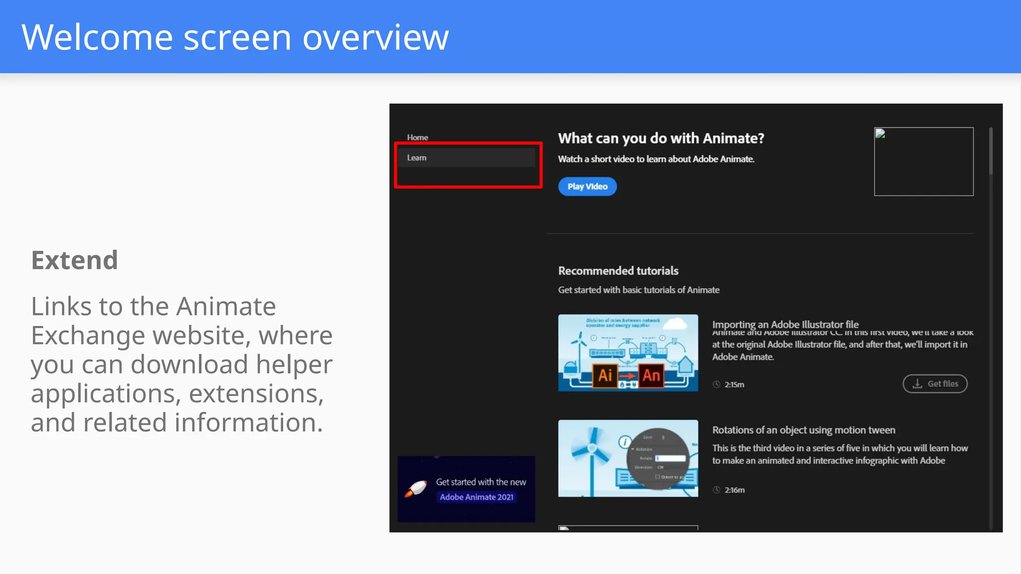 Adobe Animation and its basics and the parts of workspace | PPTX