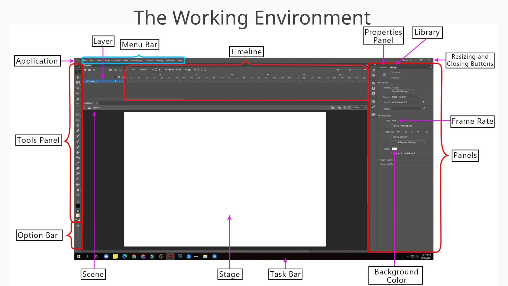 Adobe Animation and its basics and the parts of workspace | PPTX