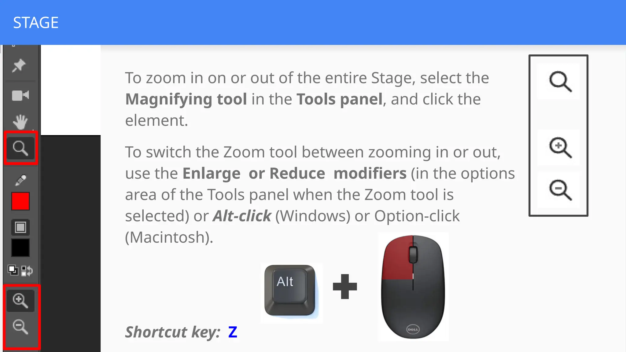 Adobe Animation and its basics and the parts of workspace | PPTX
