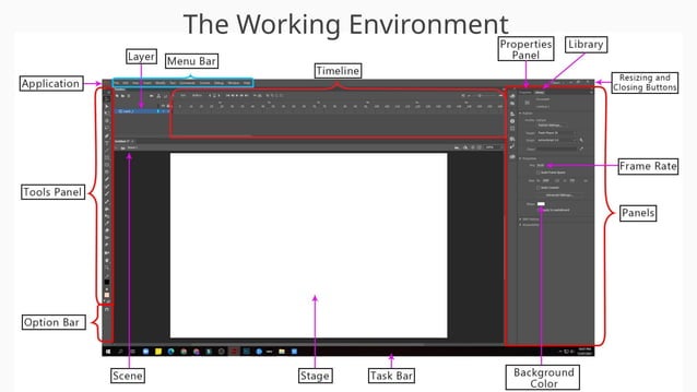 Adobe Animation and its basics and the parts of workspace | PPTX ...