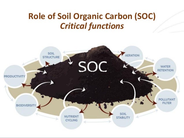 2. Soil organic carbon - GSOCmap