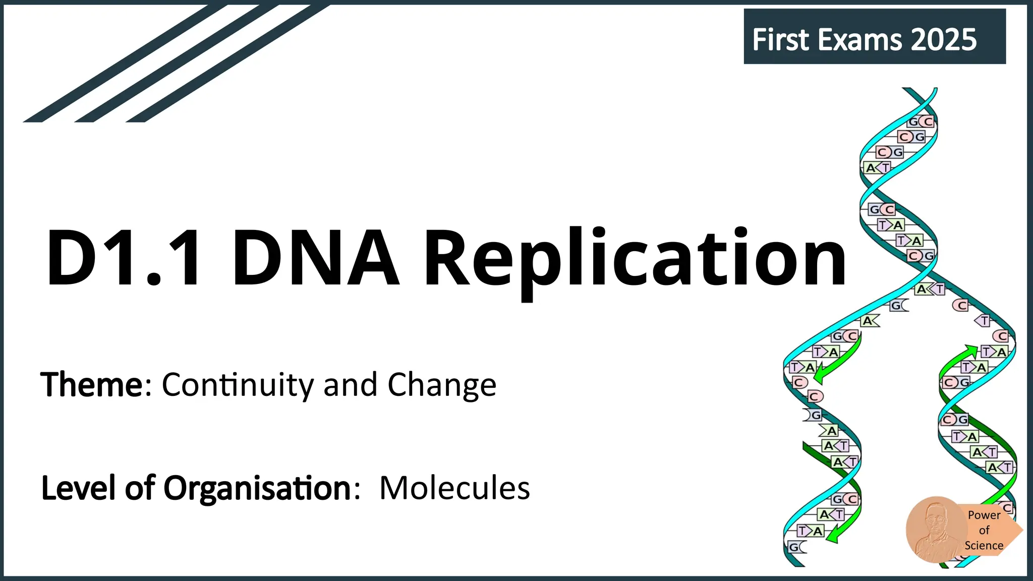 D1.1 DNA Replication hjgjgjgjgjgjgj.pptx