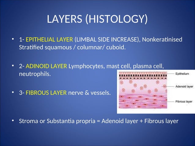 D1 - Applied Anatomy of Conjunctiva & Classification of Conjunctivitis.ppt