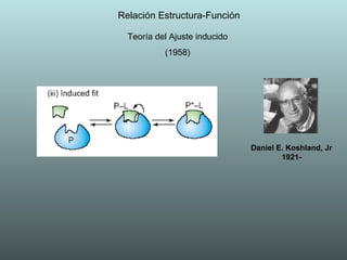 D1_EstructProt_01 | PPT
